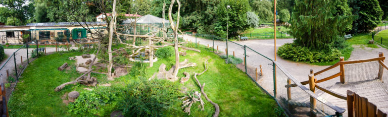 Affengehege im Eilenburger Tierpark - Sachsen Erkunden